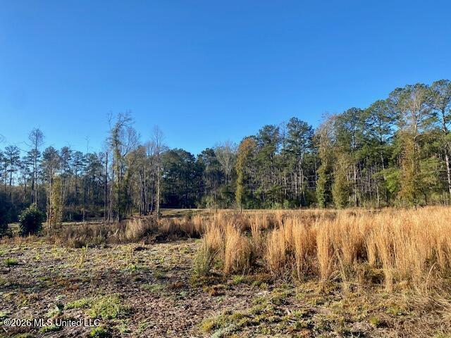 1169 Ole Springs Road