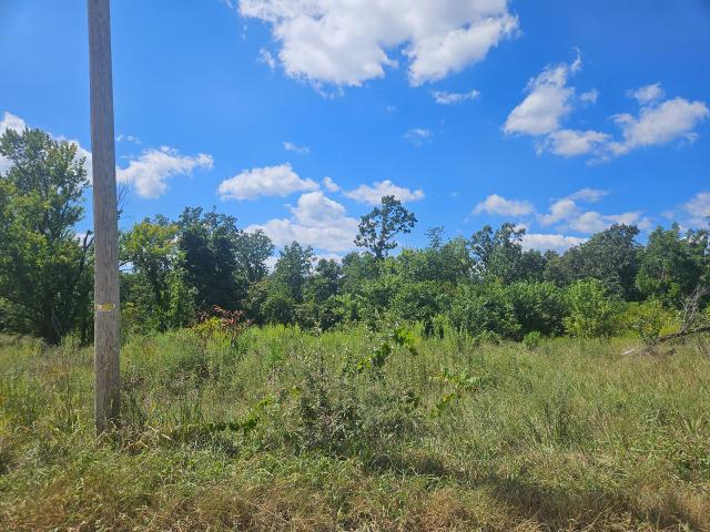 1169 County Road 2790