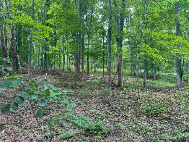 11605 S Tower # Lot: 5