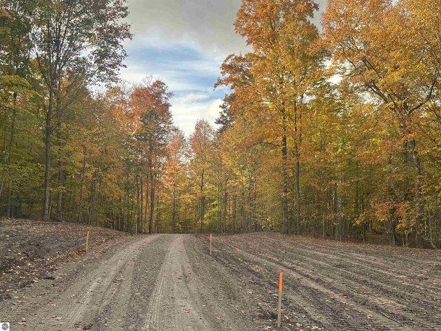 11605 S Tower Rd Lot 5, Maple City, MI 49664