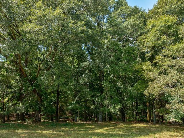 1160 Middlebrooks Road