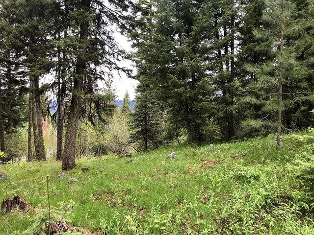1160 Aspen Ridge Ln Lot 63, McCall, ID 83638