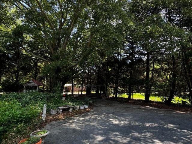 1160 Blasingame Road