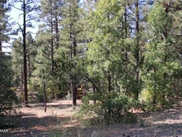 1160 S Cherokee Dr, Show Low, AZ 85901