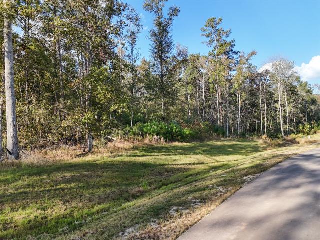 11615 Dawn Tree Ln, Willis, TX 77378 | MLS #97648