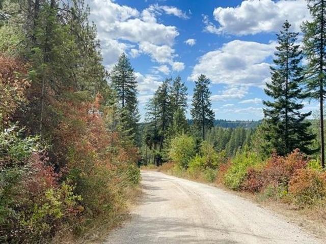 11618 E Dusty Ln, Chattaroy, WA 99003