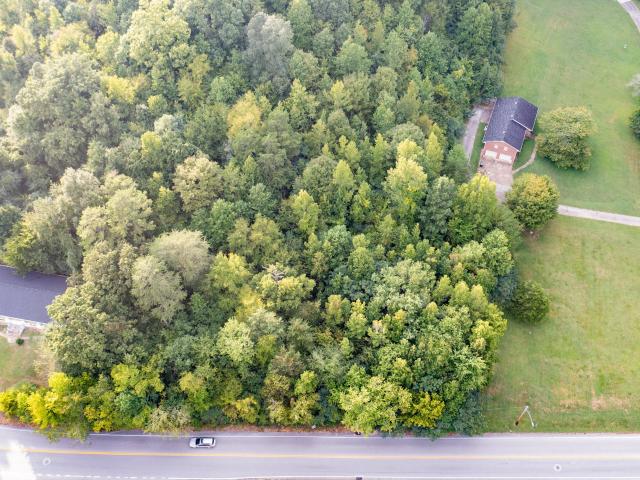 1161 Mountain Creek Road