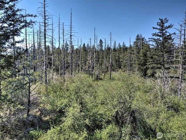 1161 NE Toonerville 5 of Survey Vol 3 Pg 98 Dr Lot Tr, Belfair, WA 98528
