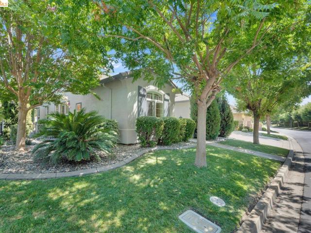 1161 Bacchini LN