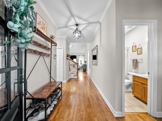 1161 Cynthia Ln