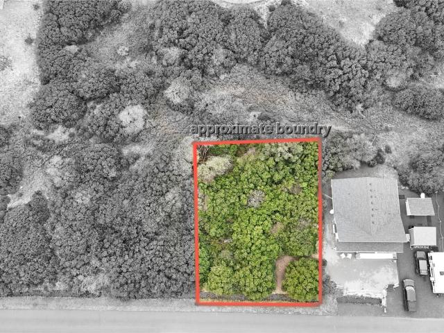 1161 Greenview Ave SW, Ocean Shores, WA 98569 | MLS #2503