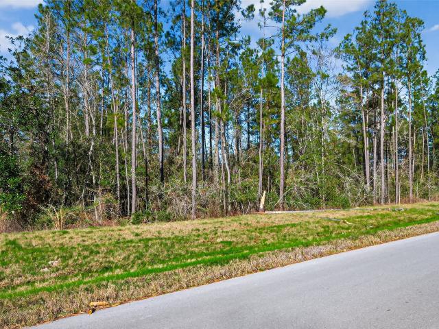 11623 Dawn Tree Lane