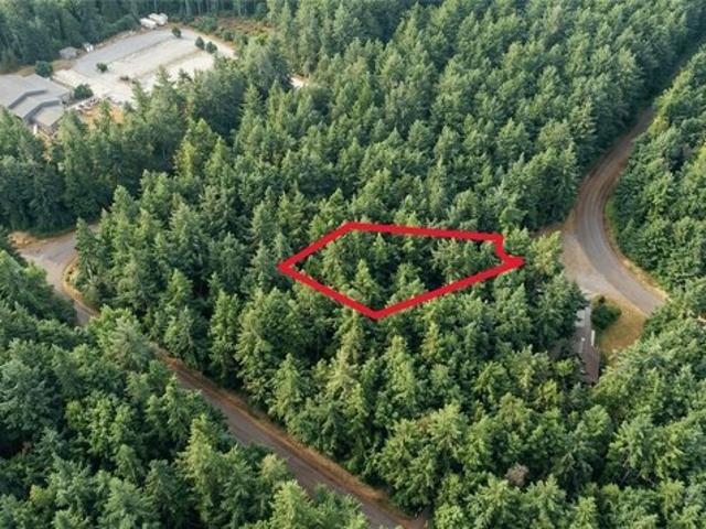 11624 Mill Pl, Anderson Island, WA 98303