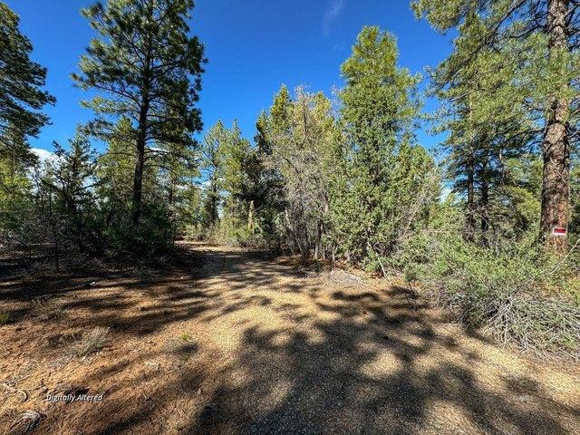 11630 W Cedar Rd, Orderville, UT 84758