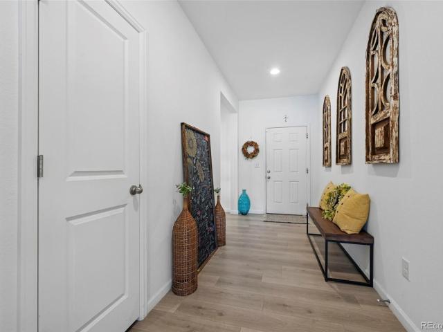 1163 Elbridge Drive
