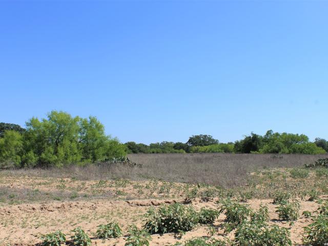 1163 W Fm 476, Somerset, TX 78069 | MLS #1943