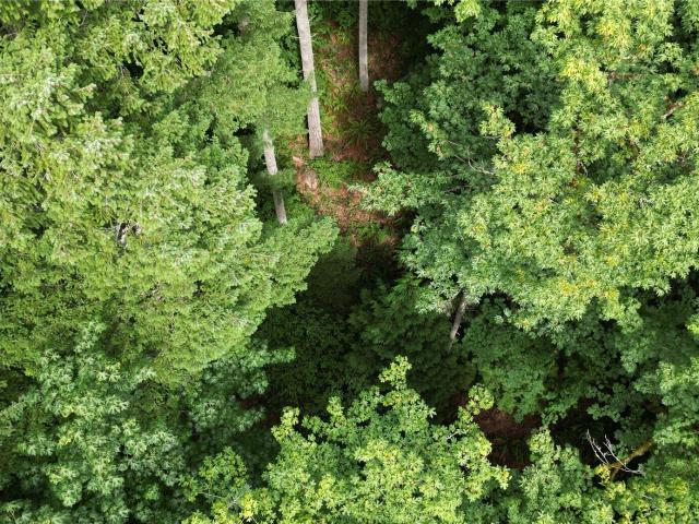 116 198th Ave SE, Issaquah, WA 98027 | MLS #2494