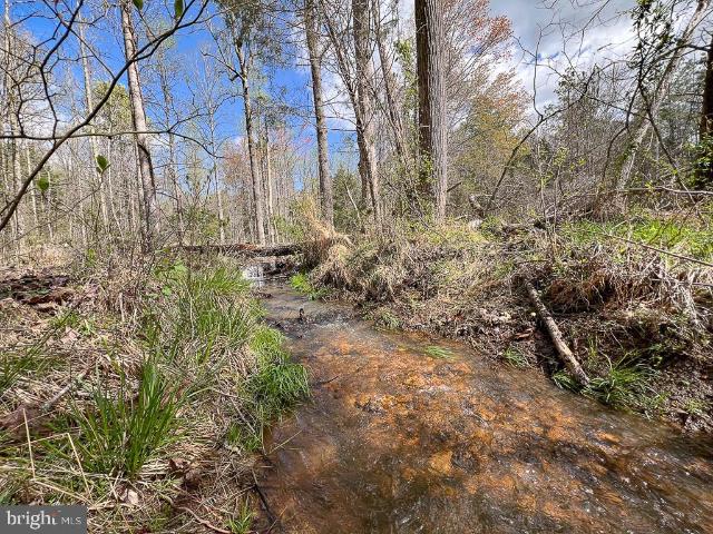 116.32 Acres Gilliam Mill Road