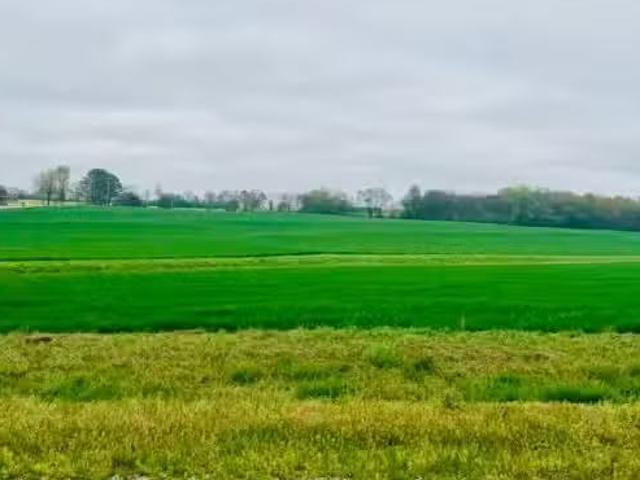 116 ACRES SHAW ROAD, ATHENS, AL 35611 Vacant Land For Sale ML.