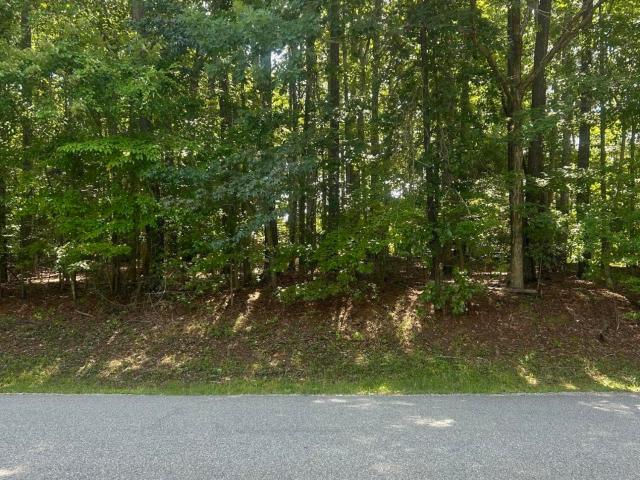 116 Buckaroo Drive