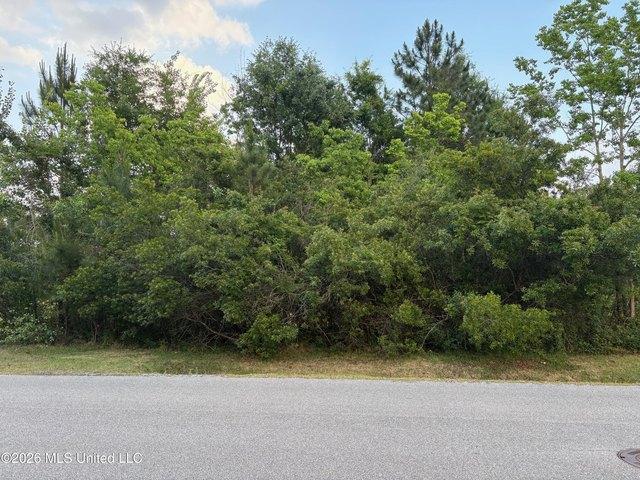 116 Engman Ave Lots 5 & 6, Bay Saint Louis, MS 39520