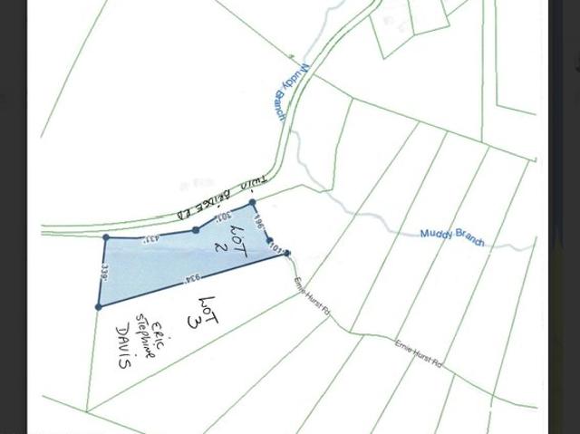 116 Ernie Hurst Rd, Deer Lodge, TN 37726