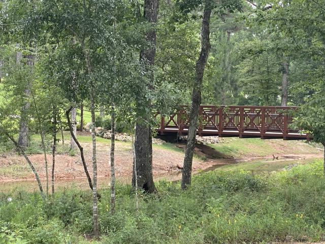 116 Jubilee Meadow Dr, Willis, TX 77318 | MLS #10494