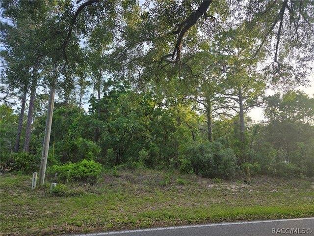 116 Oak Village Blvd S, Homosassa, FL 34446