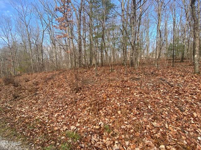 116 Overlook Cove