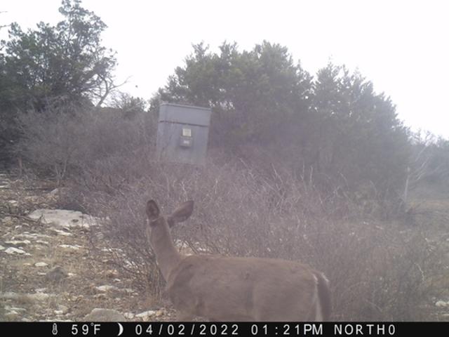 116 Leona Ranch Rd