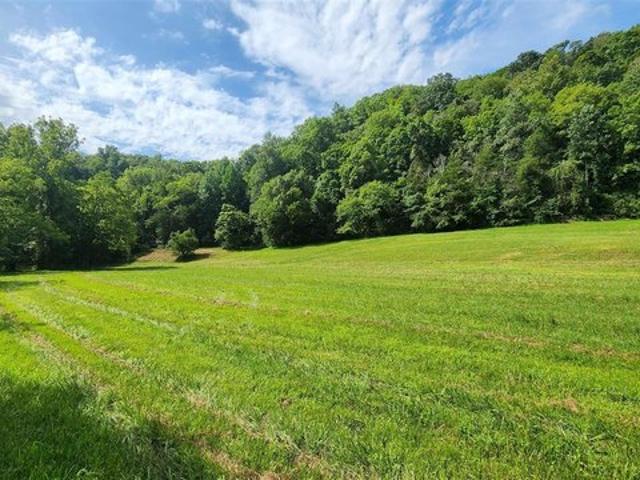 116 Lloyd Cemetery Rd, Burkesville, KY 42717