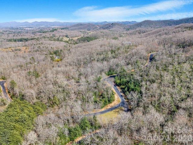 116 May Fly Ln Unit 116, Horse Shoe, NC 28742