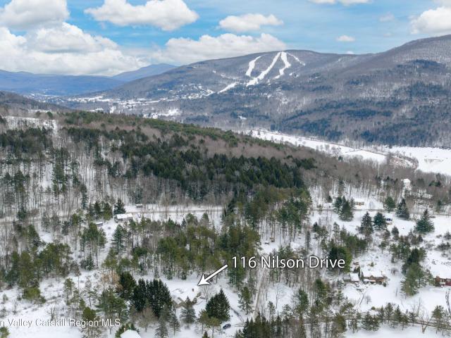 116 Nilson Dr, Windham, NY 12496 | MLS #20255 | Compass