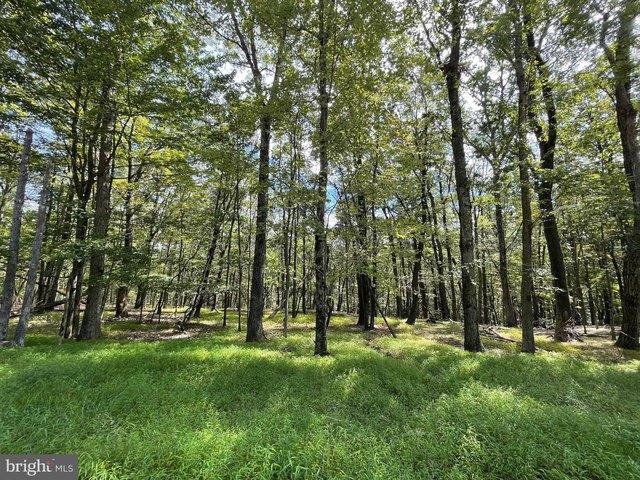 116 Spring Mountain Dr, Zion Grove, PA 17985