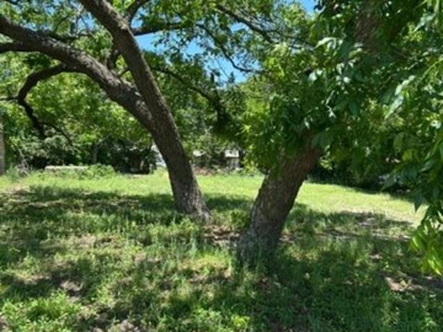 116 W Walnut St, Whitewright, TX 75491