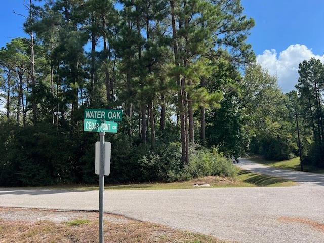 116 Water Oak, Livingston, TX 77351 | MLS #53446