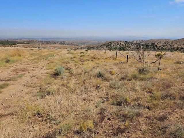116 Vac Tumbleweed Rd, Ste VIC, Pearblossom, CA 93553 | MLS #26002 | Compass