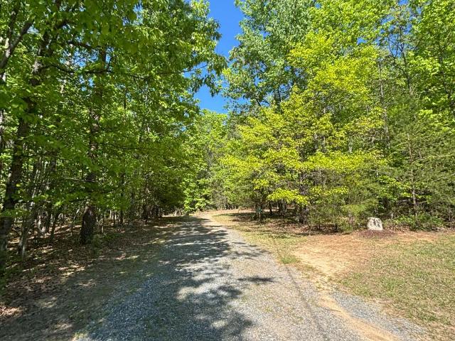 1175 Jasper Mountain Road