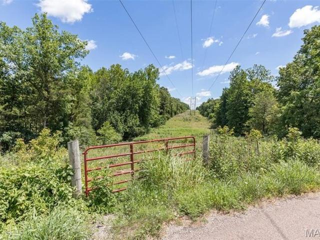 1175 Three Rivers Rd, Farmington, MO 63640
