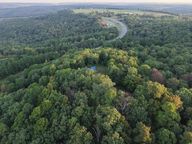 11766 Highway 65 N, Dennard, AR 72629