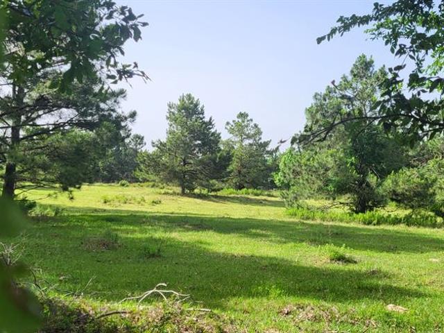 1176, Sulphur Springs, TX 75482 | MLS #20938
