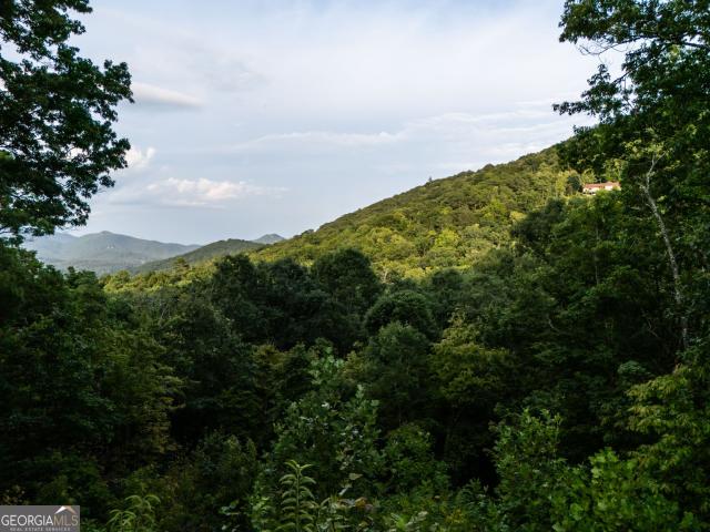 1176 Tiger Pass Drive