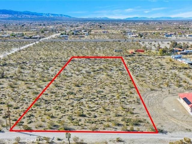 11786 Buckwheat Rd, Pinon Hills, CA 92372