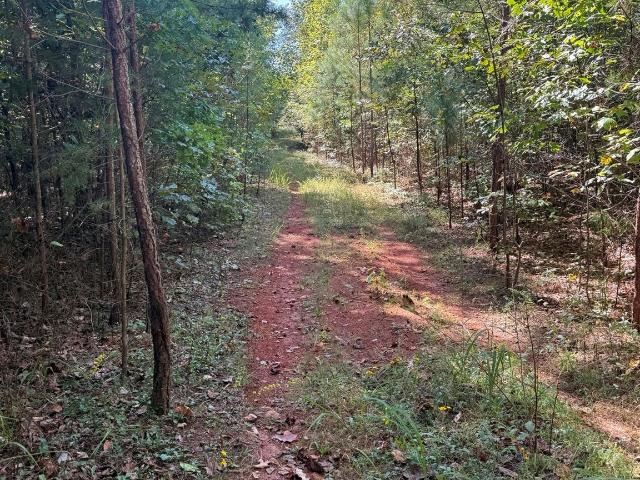 1178 Pea Ridge Rd, Mill Spring, NC 28756 | MLS #4309