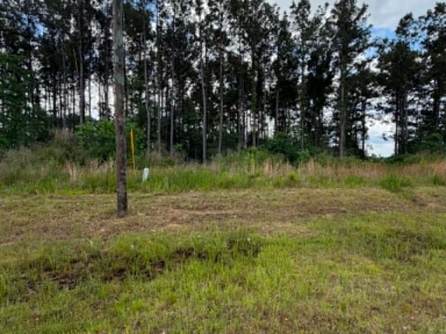 1178 Road 5913