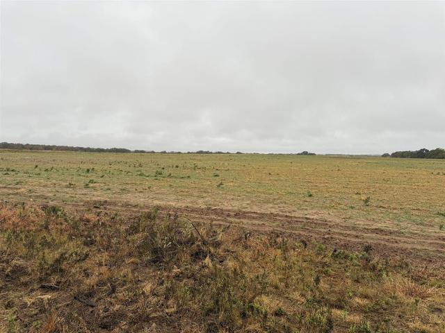 1178 St Clyde, TX 79510 | MLS #21113