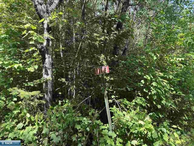 11703 Jacobs Rd, Orr, MN 55771