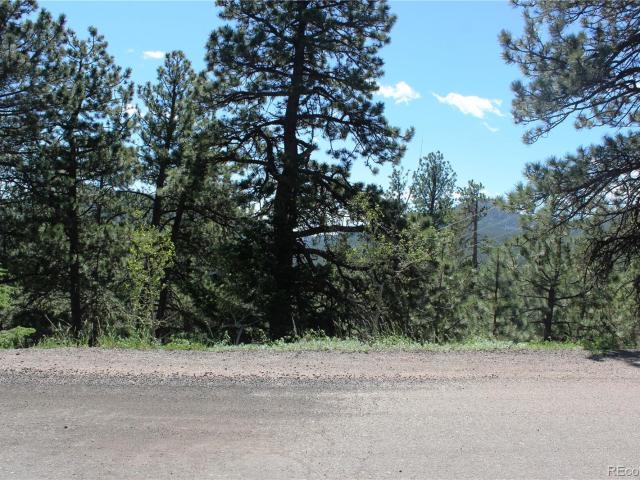 11702 Overlook Drive