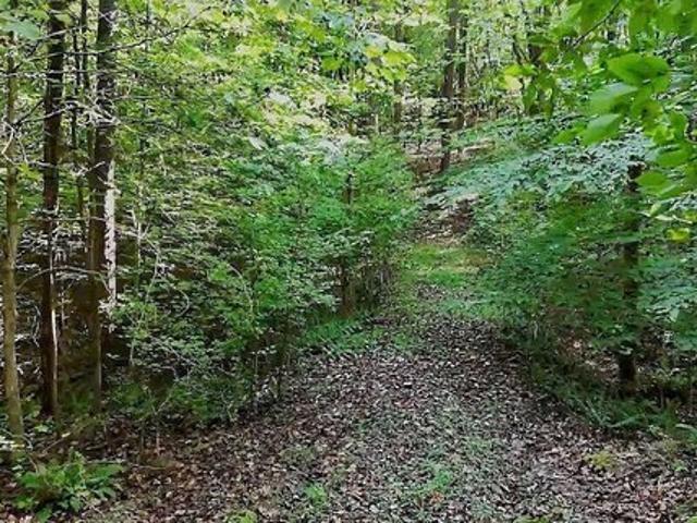 11705 Strickland Rd, Raleigh, NC 27613
