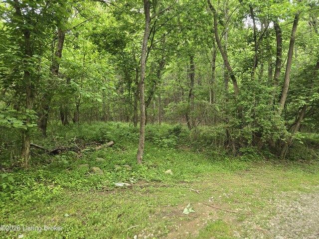 11708 Mitchell Hill Rd, Louisville, KY 40118